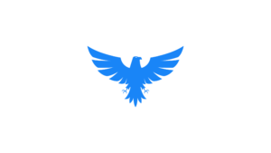 D.O.P.E "Bird" Personality Test: DoerHRM Australia